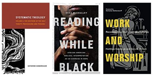Twelve Important Theology Books of 2020!!! - The Englewood Review