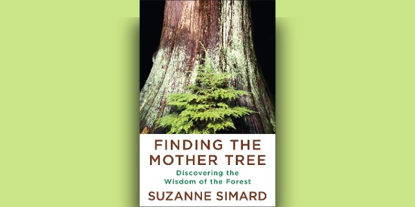 Suzanne Simard - Finding the Mother Tree [ NPR Interview ]