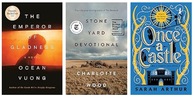 Twelve Important Fiction Books of 2025! - Page 3 of 12 - The Englewood ...